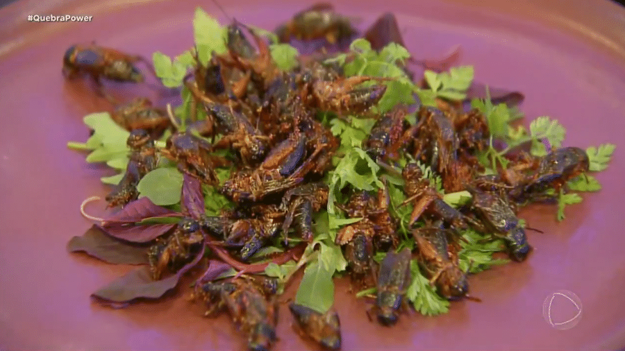 Power Couple: Como foi a quinta Prova das Mulheres do programa?