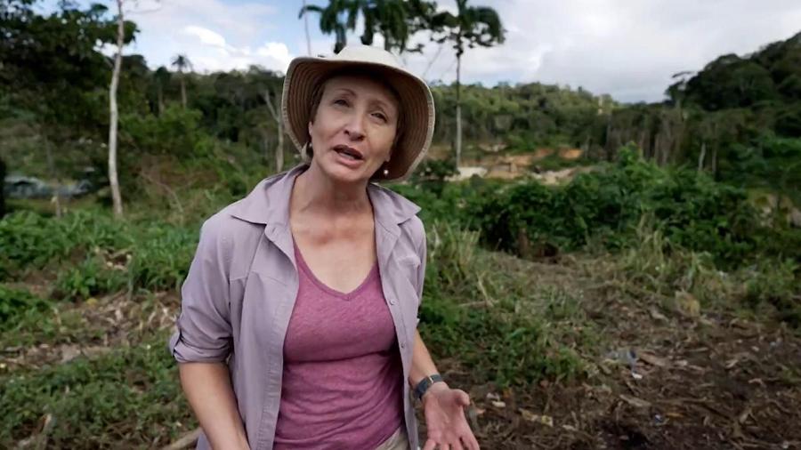 Sônia Bridi: o mundo narrado pela jornalista