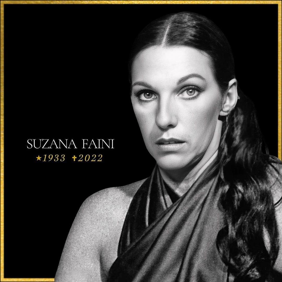 Fotos: Suzana Faini (1933 - 2022): veja fotos da carreira da atriz - 25 ...