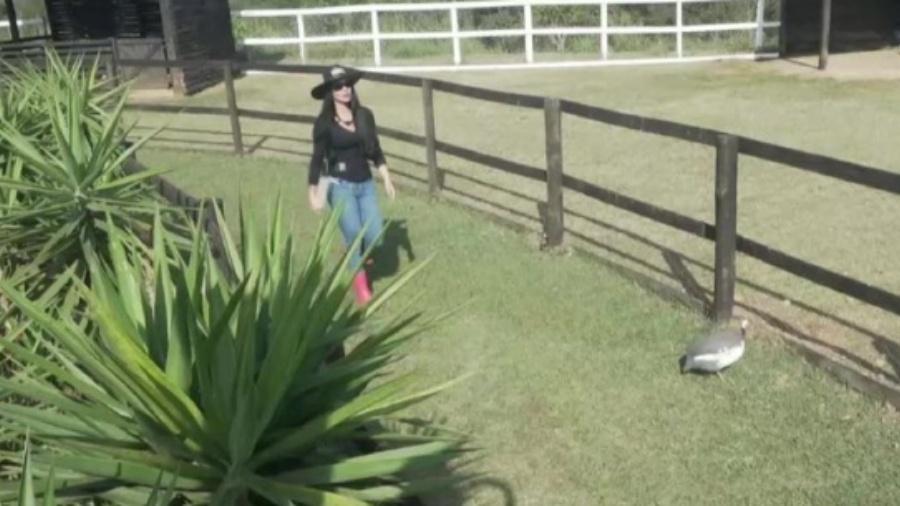 A Fazenda 17: Rayane compara filho com cabra e chora de saudade