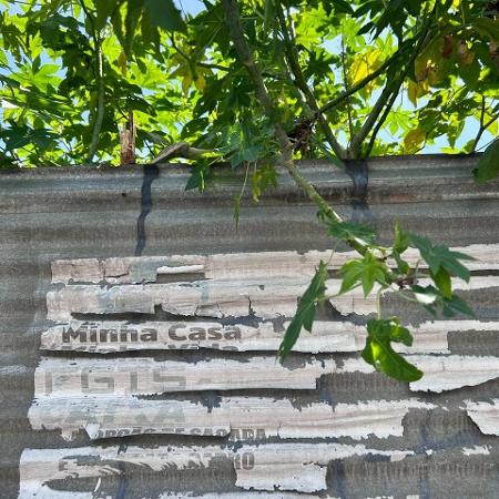 Terreno cedido pela Universal para prefeitura não virou moradia em SP