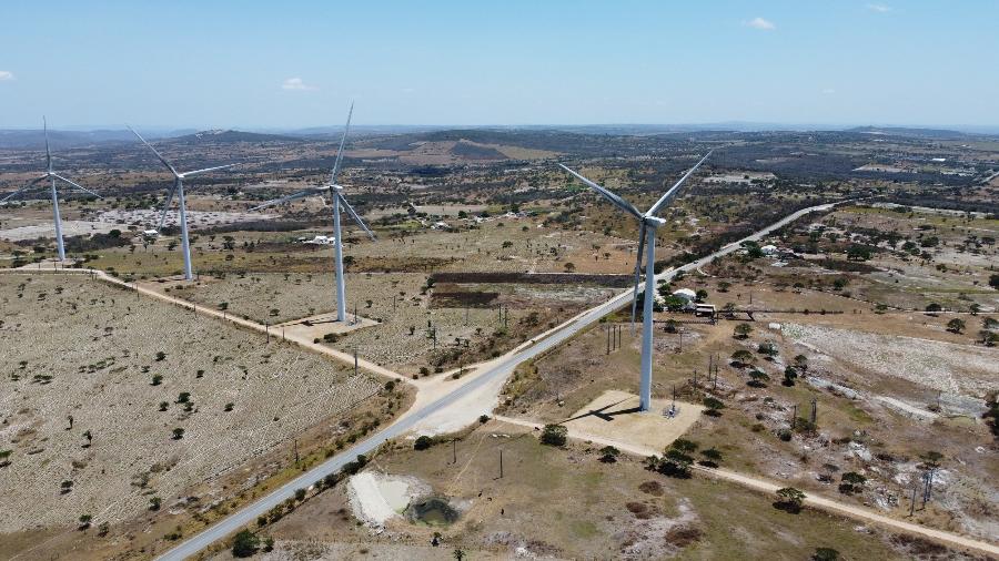 Donos do vento: quem domina as eólicas no Nordeste