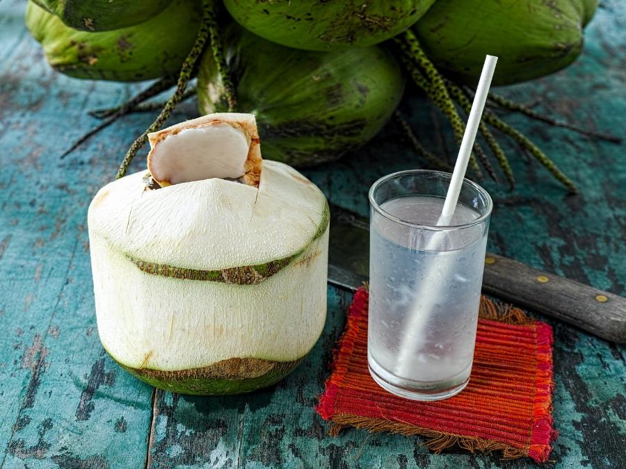 Excelente para pré-treino, reduz colesterol: os benefícios do coco