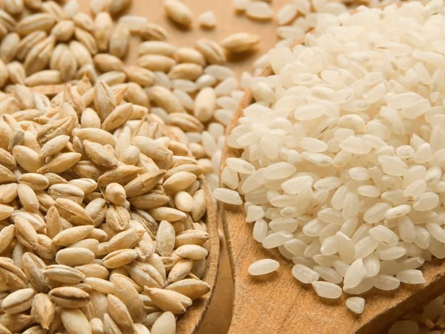 Vale a pena trocar o arroz branco pelo integral? Veja diferenças